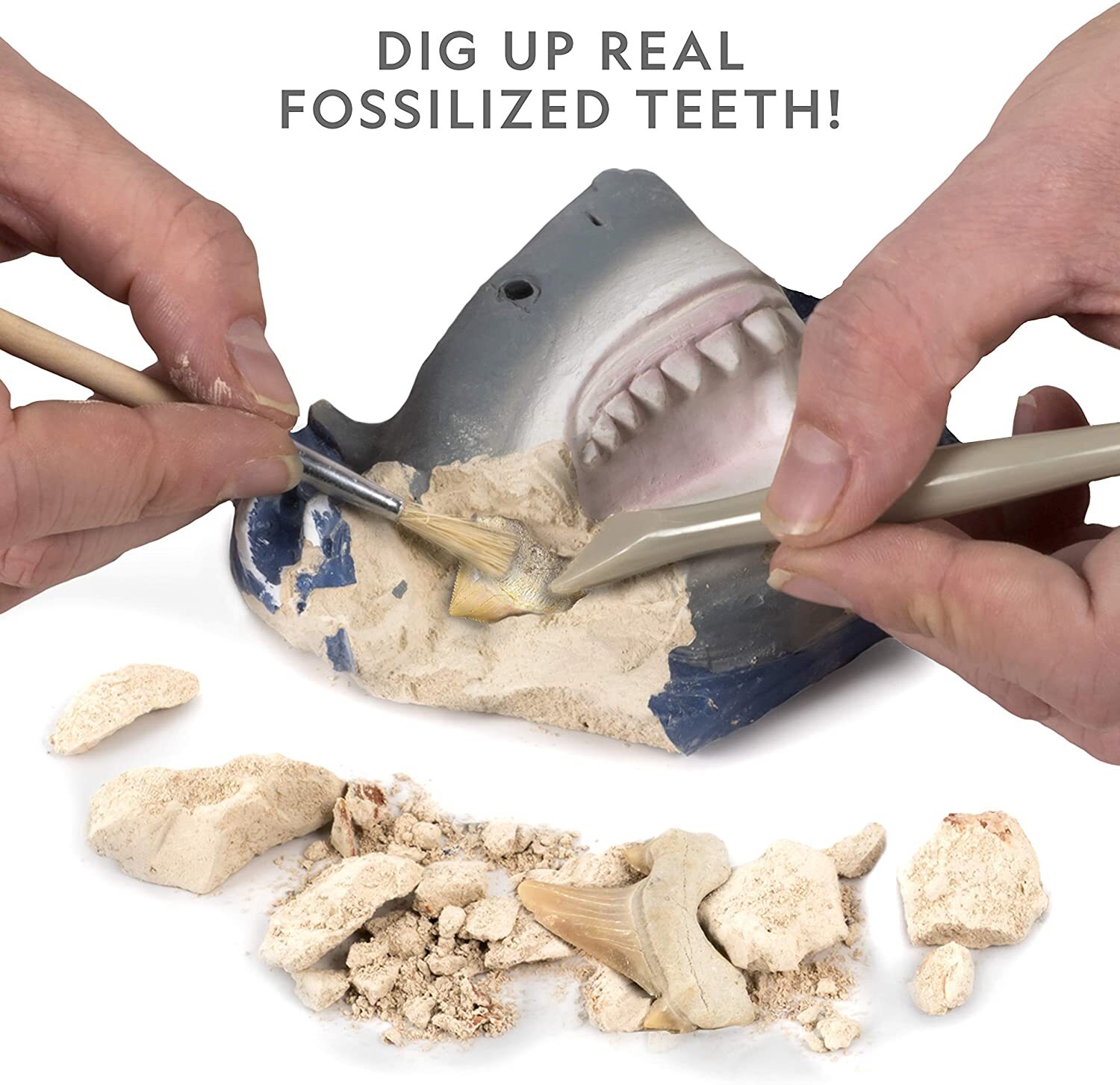 National Geographic Shark Tooth Dig Kit